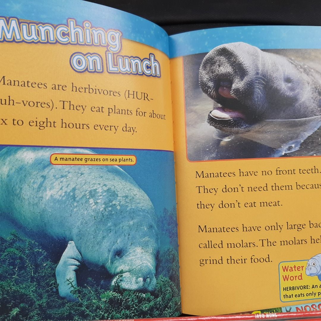 Manatees - National Geographic For Kids, Hobbies & Toys, Books ...
