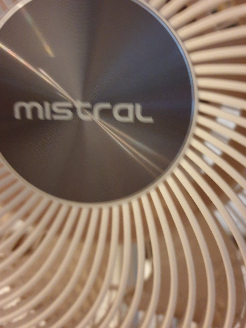 Mistral Standing Fan, Furniture & Home Living, Lighting & Fans, Fans on ...