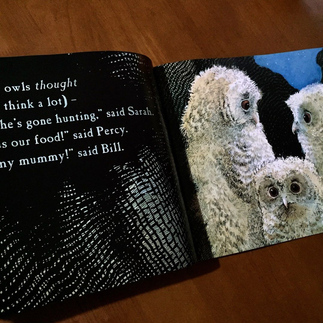 Owl Babies by Martin Waddell and Patrick Benson (Story Book and DVD ...