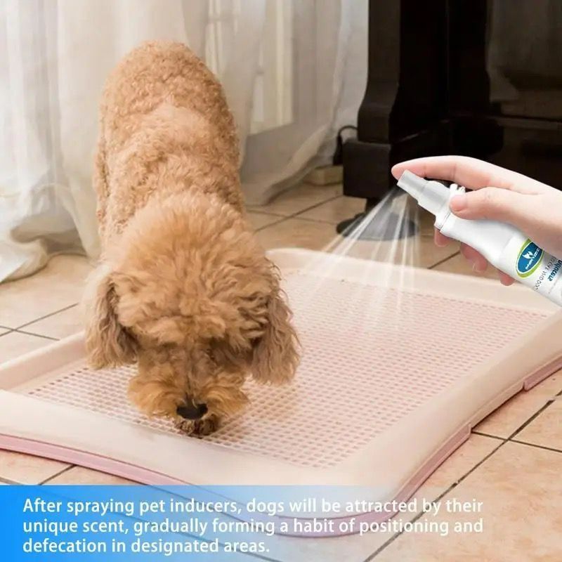 Pet Dog Inducer Spray Pet Potty Pee Training Spray Dog Toilet Training ...