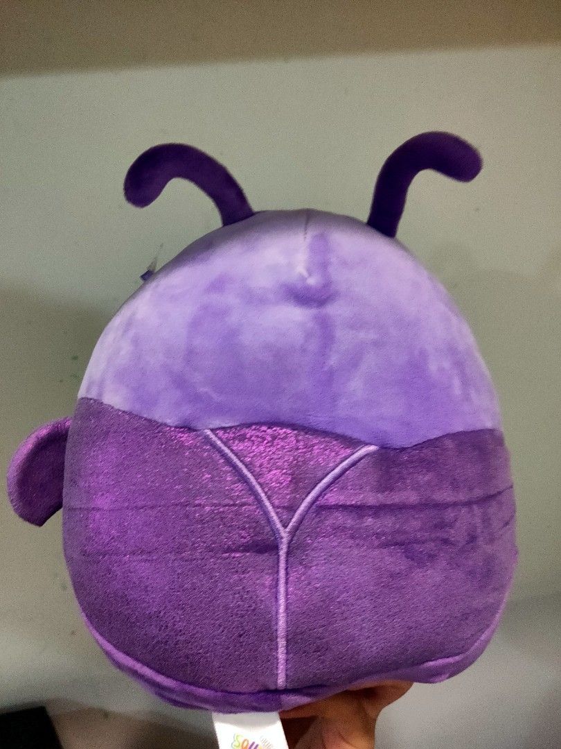 Squishmallow Beetle 7-8inch Authentic Plush, Hobbies & Toys, Toys ...