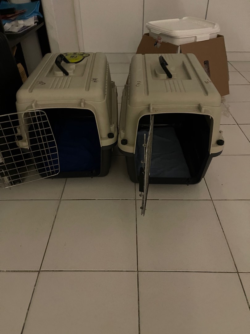 Animal Crates for Pet Relocation, Pet Supplies, Homes & Other Pet ...