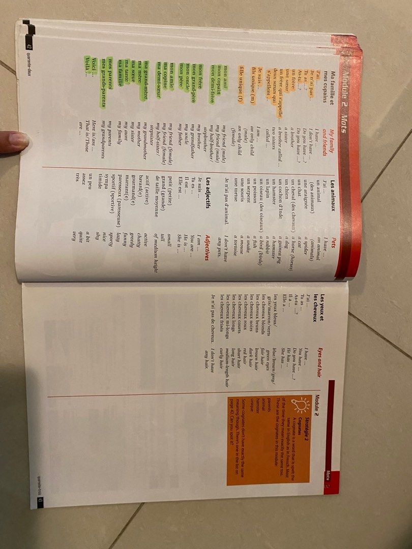 French IGCSE level textbook, Hobbies & Toys, Books & Magazines ...