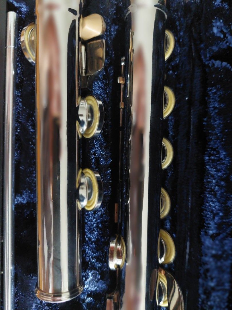 Libretto flute, Hobbies & Toys, Music & Media, Musical Instruments on ...