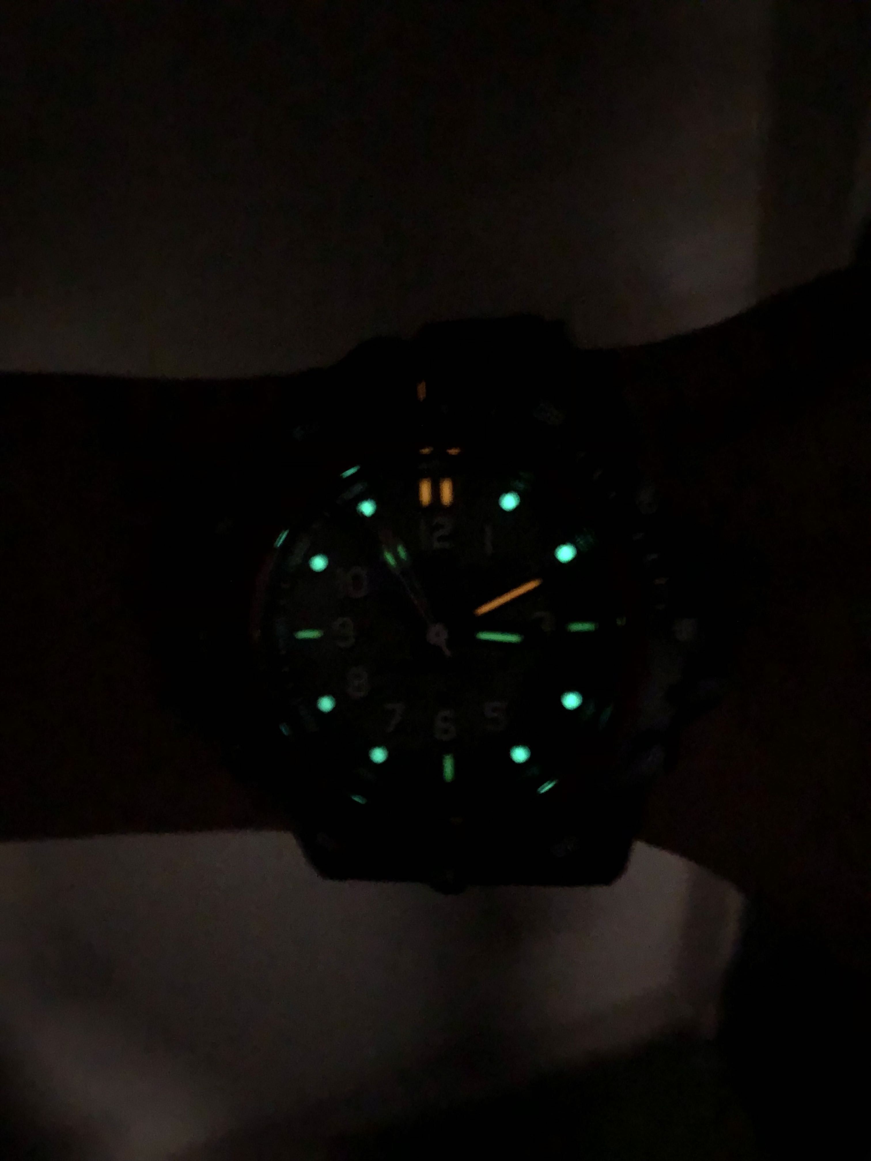 Luminox Frogman Commando, Men's Fashion, Watches & Accessories, Watches ...