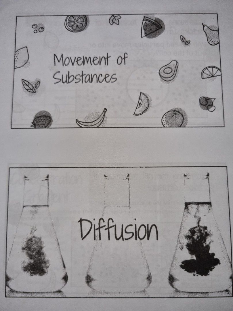 O level Biology 'Movement of Substances' notes, Hobbies & Toys, Books ...