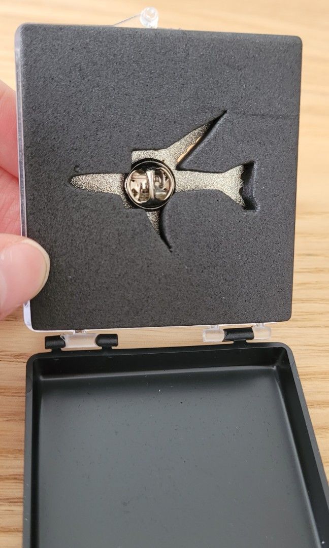 SIA B787 Pin, Boeing, Hobbies & Toys, Memorabilia & Collectibles ...