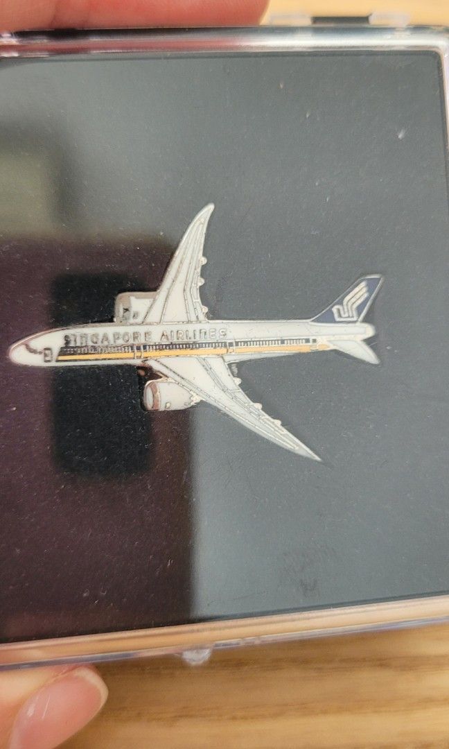 SIA B787 Pin, Boeing, Hobbies & Toys, Memorabilia & Collectibles ...