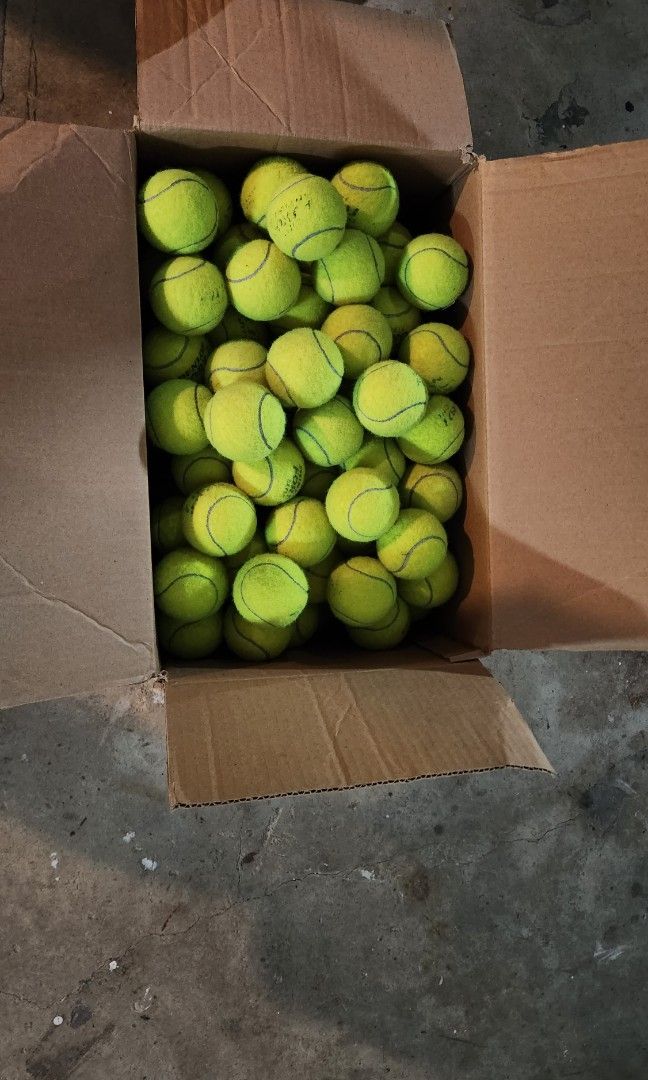 Used Tennis Tournament Balls for sale, Sports Equipment, Sports & Games ...