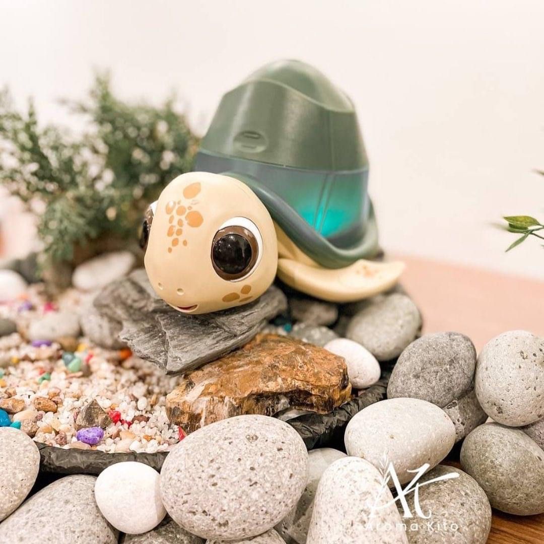 YL - Shelly The Turtle Diffuser, Furniture & Home Living, Home ...