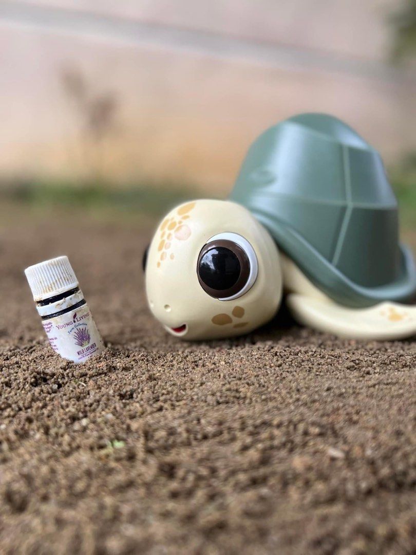 YL - Shelly The Turtle Diffuser, Furniture & Home Living, Home ...