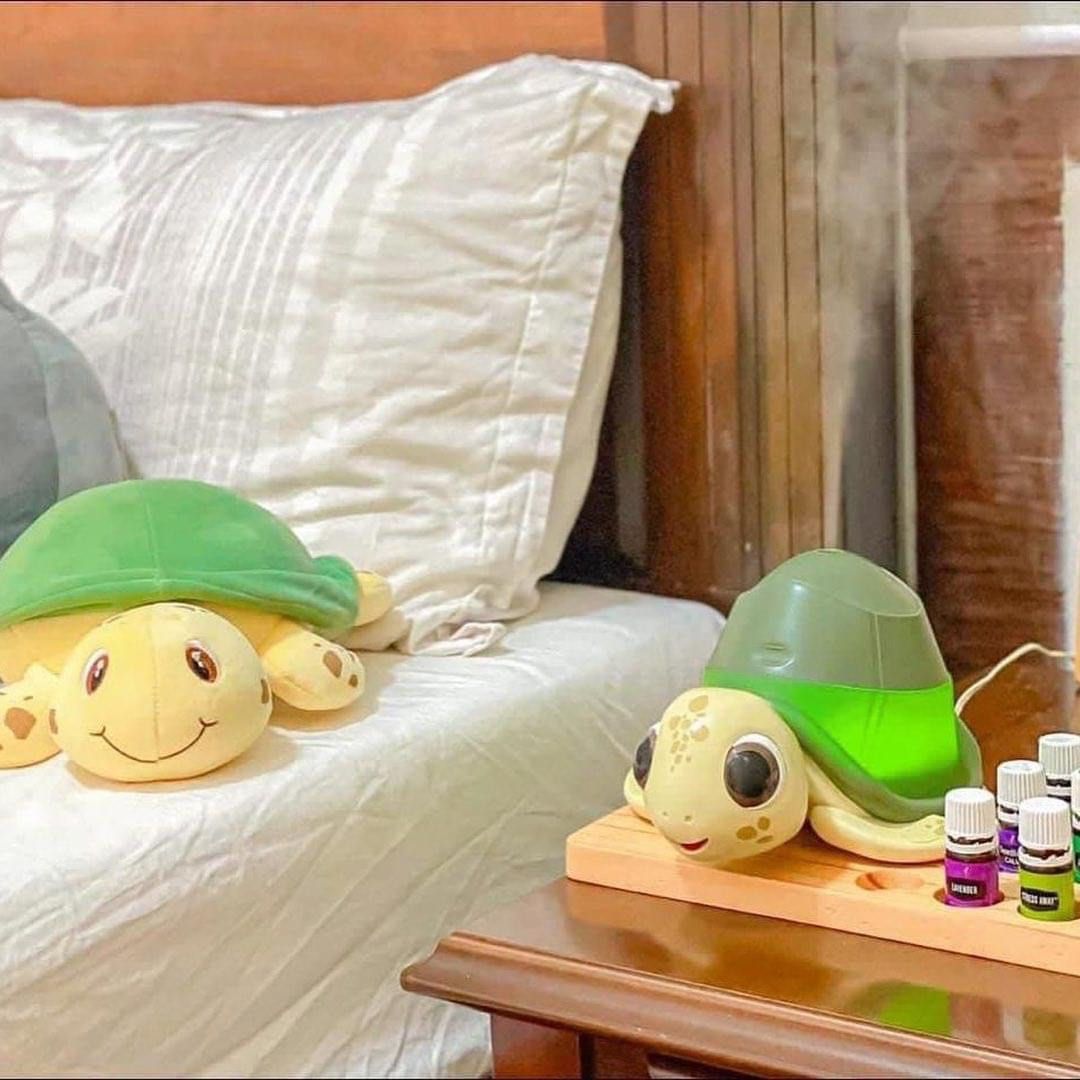 YL - Shelly The Turtle Diffuser, Furniture & Home Living, Home ...