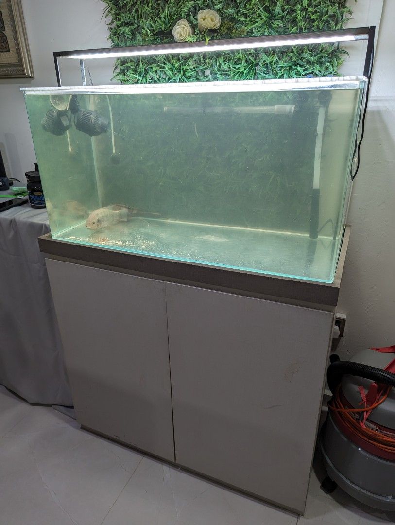 3 feet Fish Tank with wooden cabinet & WRGB Light, Pet Supplies, Homes ...