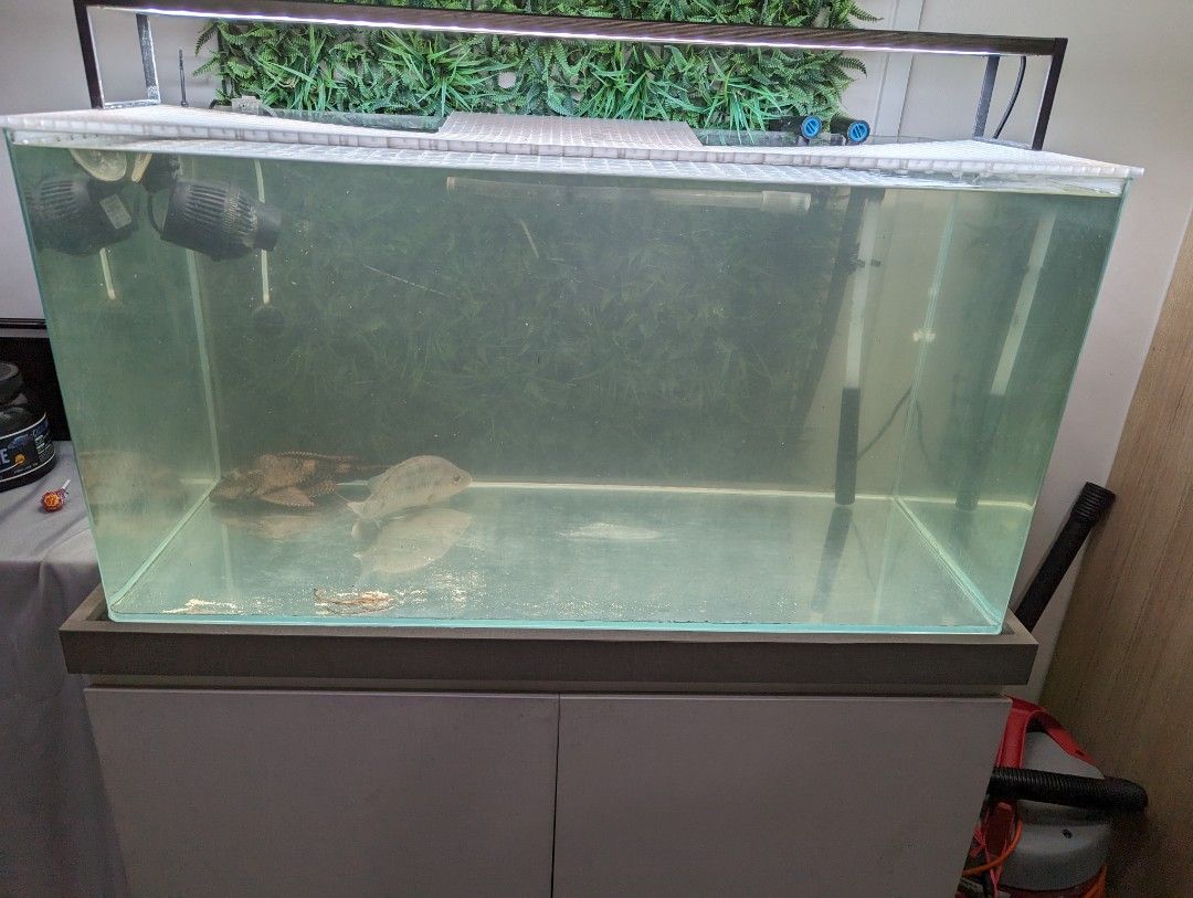 3 feet Fish Tank with wooden cabinet, Light and External Filter, Pet ...