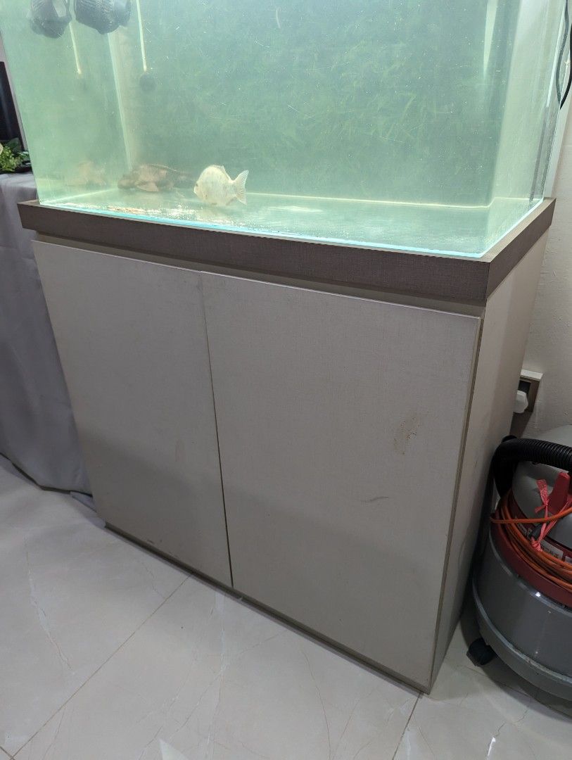 3 feet Fish Tank with wooden cabinet, Light and External Filter, Pet ...