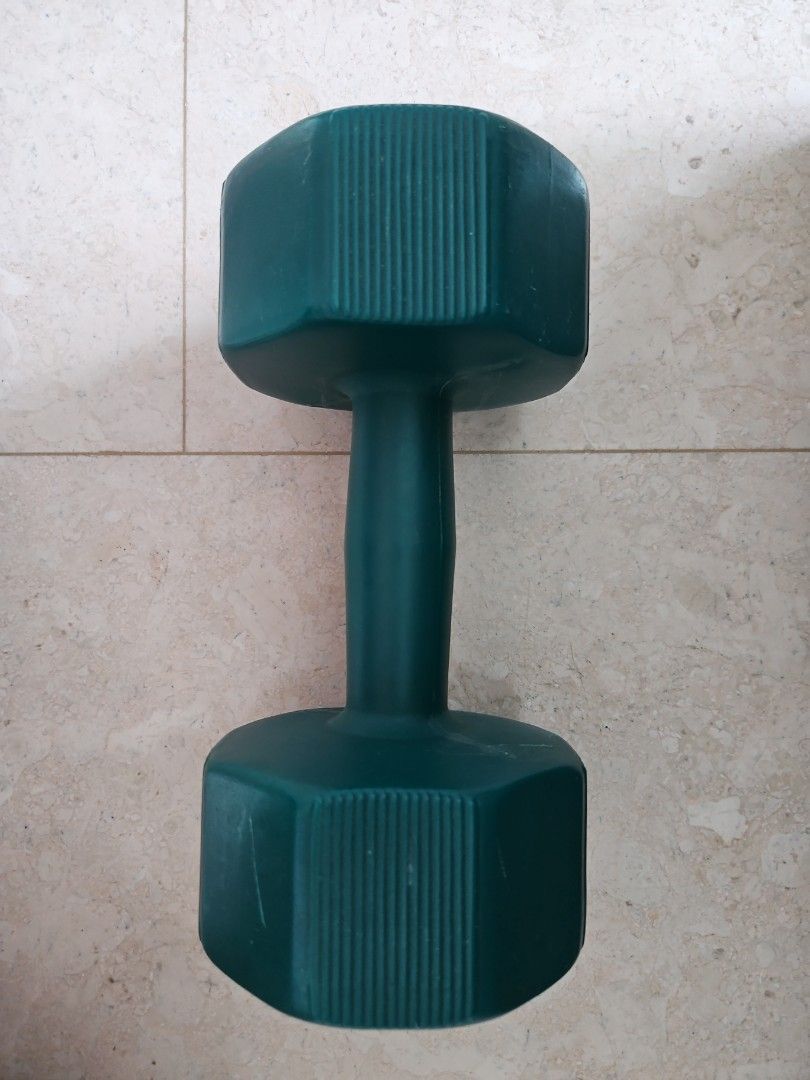 5kg dumbbell, Sports Equipment, Exercise & Fitness, Weights & Dumbbells ...