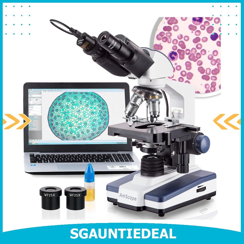 AmScope B120C-E1 Siedentopf Binocular Compound Microscope, 40X-2500X ...