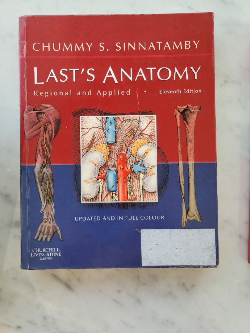 Anatomy Books Buku Anatomi Kedokteran Dokter Last Netter Clinical Dissector, Buku & Alat Tulis ...