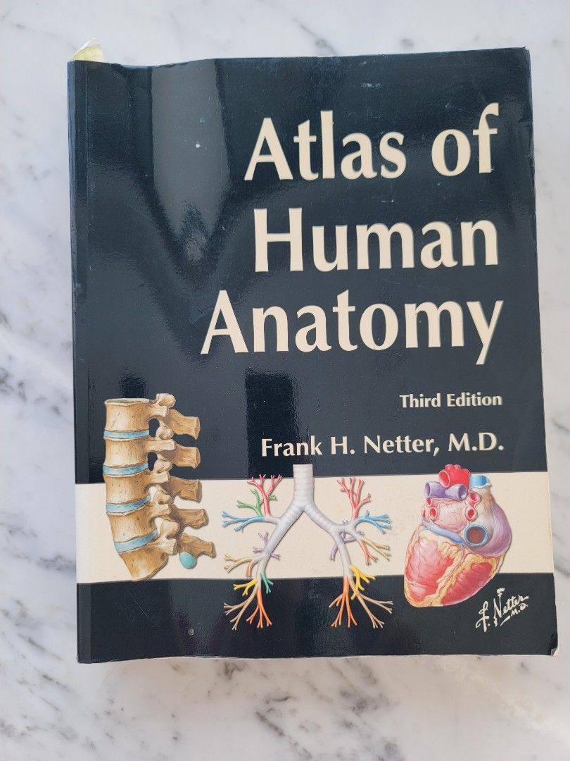 Anatomy Books Buku Anatomi Kedokteran Dokter Last Netter Clinical Dissector, Buku & Alat Tulis ...