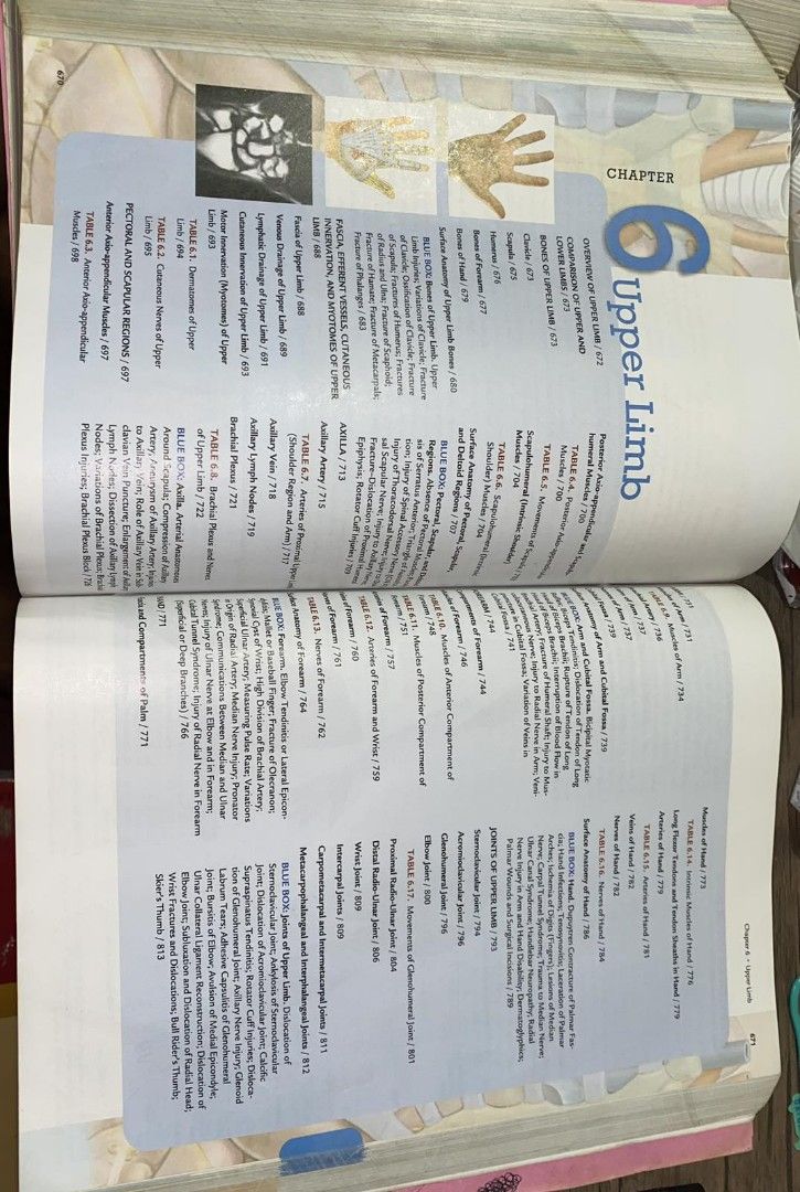 Anatomy MD book, Hobbies & Toys, Books & Magazines, Textbooks on Carousell