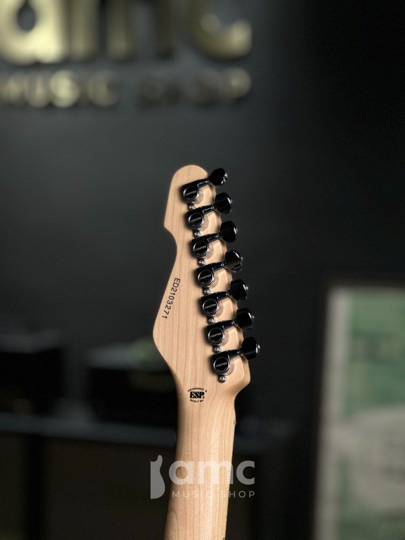 Edwards Syu Signature 7 String, 興趣及遊戲, 音樂、樂器 & 配件, 樂器 - Carousell
