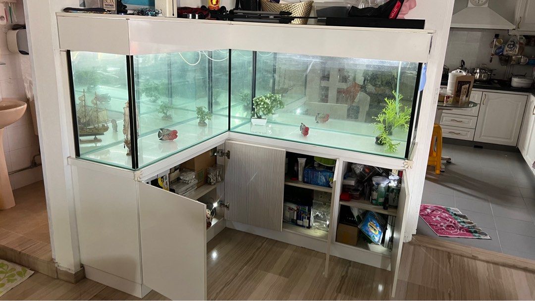 L shape fish tanks., Pet Supplies, Homes & Other Pet Accessories on ...