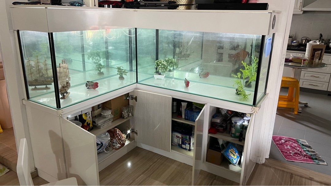 L shape fish tanks., Pet Supplies, Homes & Other Pet Accessories on ...