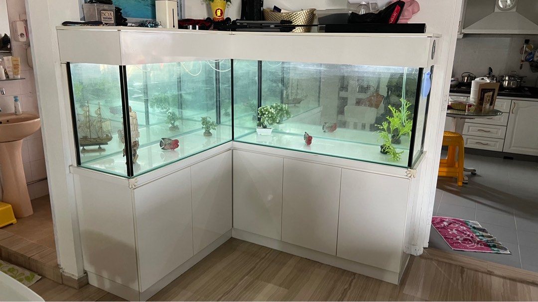 L shape fish tanks., Pet Supplies, Homes & Other Pet Accessories on ...
