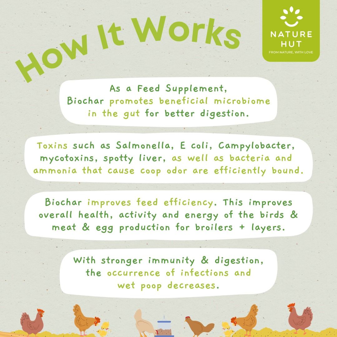 Nature Hut Organic Biochar Chicken Feed Supplement (2L) - Can mix with ...