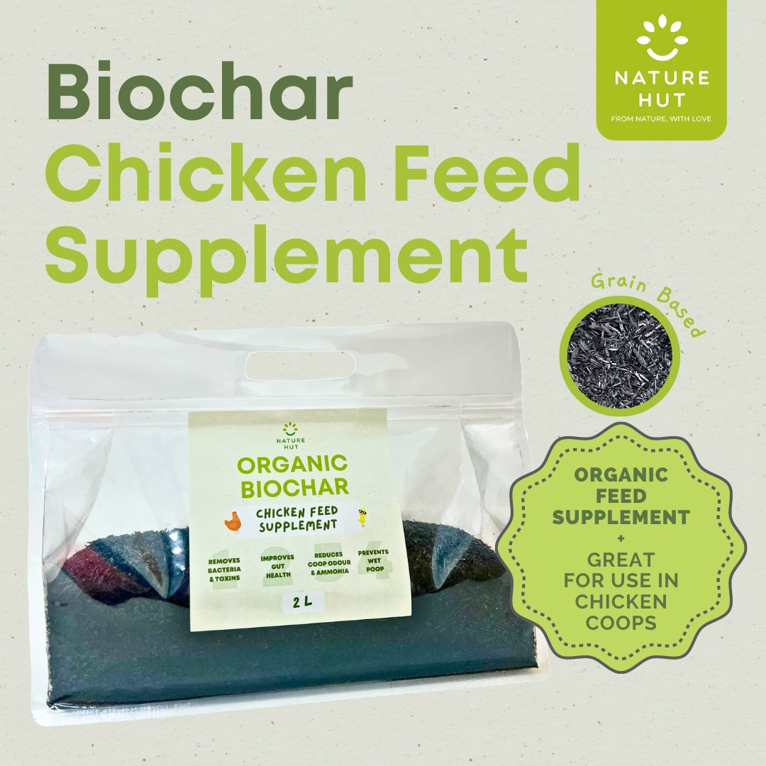 Nature Hut Organic Biochar Chicken Feed Supplement (2L) - Can mix with ...