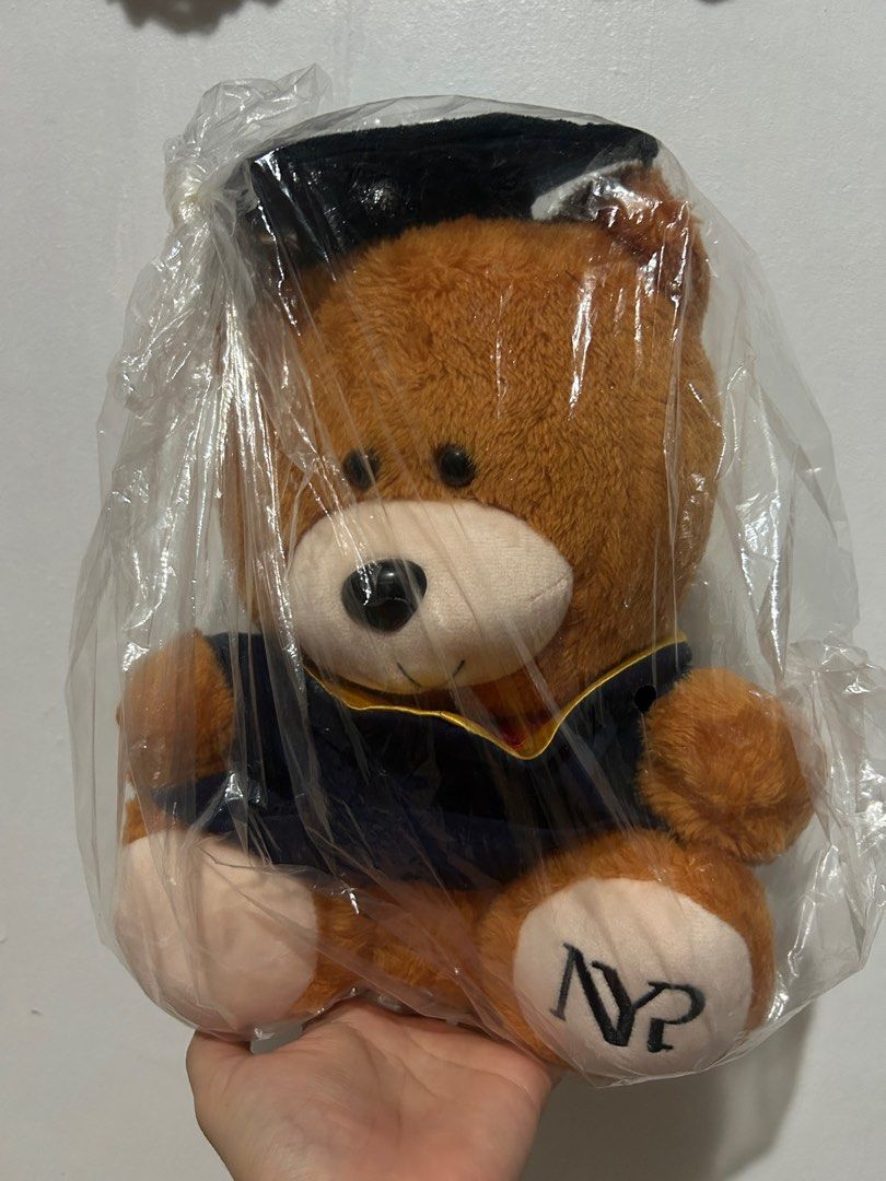 NYP GRADUATION BEAR, Hobbies & Toys, Toys & Games on Carousell