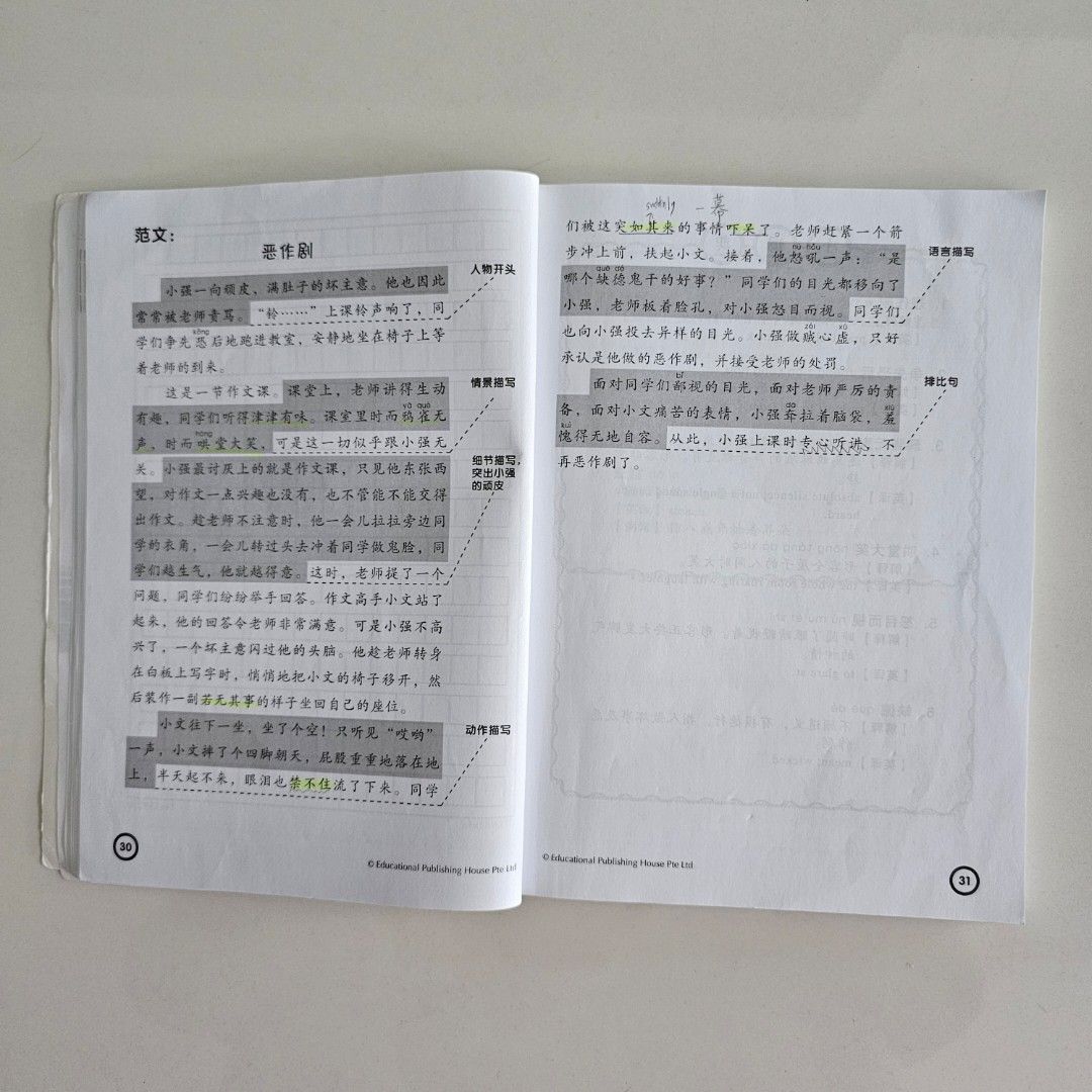 P5 P6 PSLE Chinese Composition Writing, Hobbies & Toys, Books ...