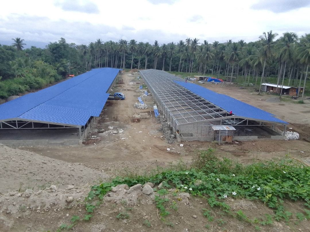 Poultry House Using Sandwich Panel, Commercial & Industrial, Construction & Building Materials ...