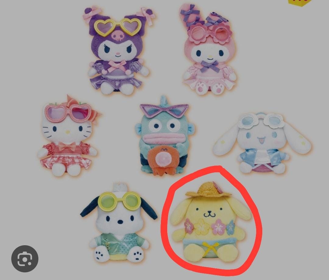 Sanrio Night Pool, Hobbies & Toys, Toys & Games on Carousell