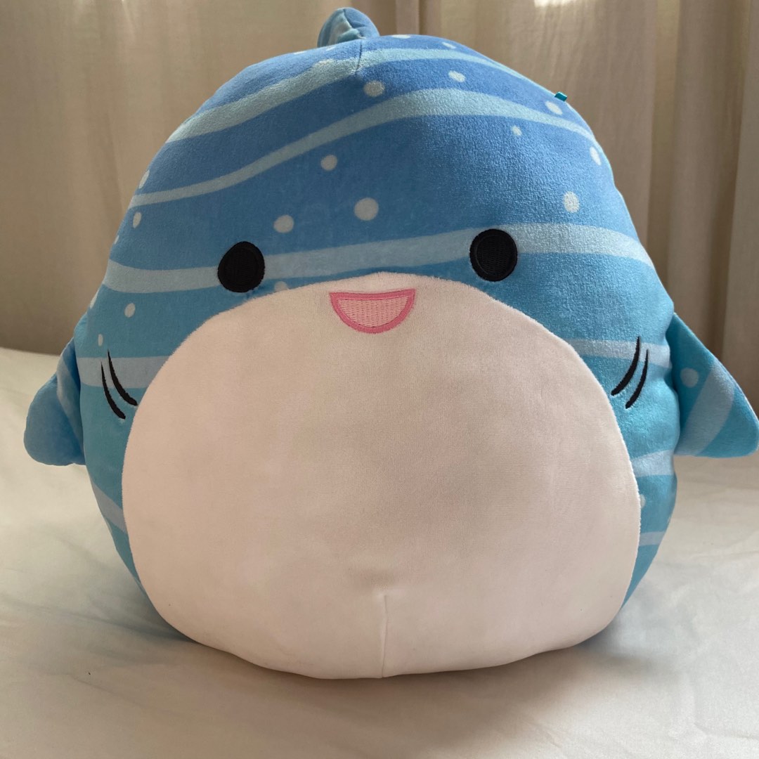 Steele the Whale Shark 12" Squishmallow, Hobbies & Toys, Toys & Games ...