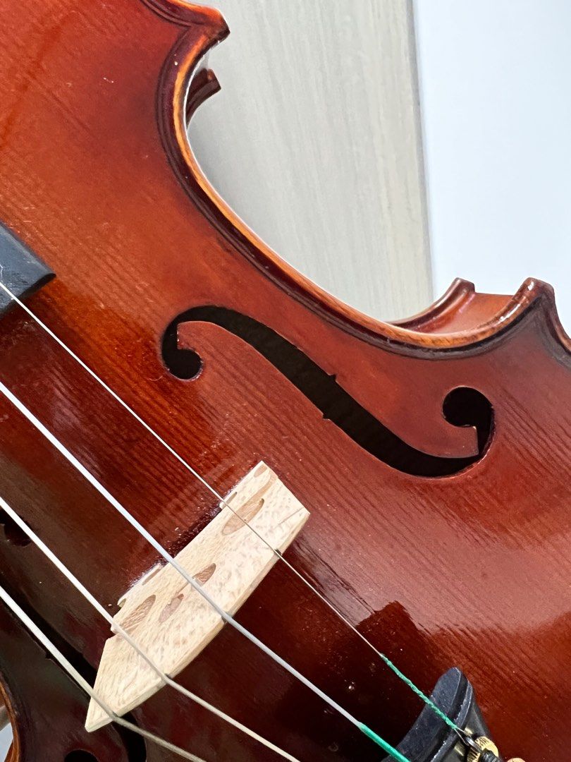 Stradivari Strings Violin $3800 BAM La Defebse Hightech Violin Case ...