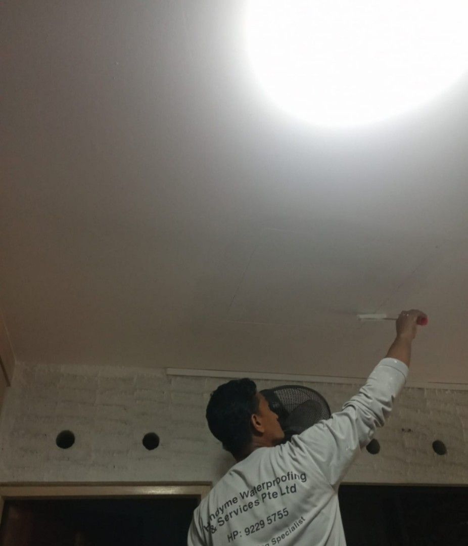 Direct waterproofing /Landed house/Waterproofing services/Water Seepage ...