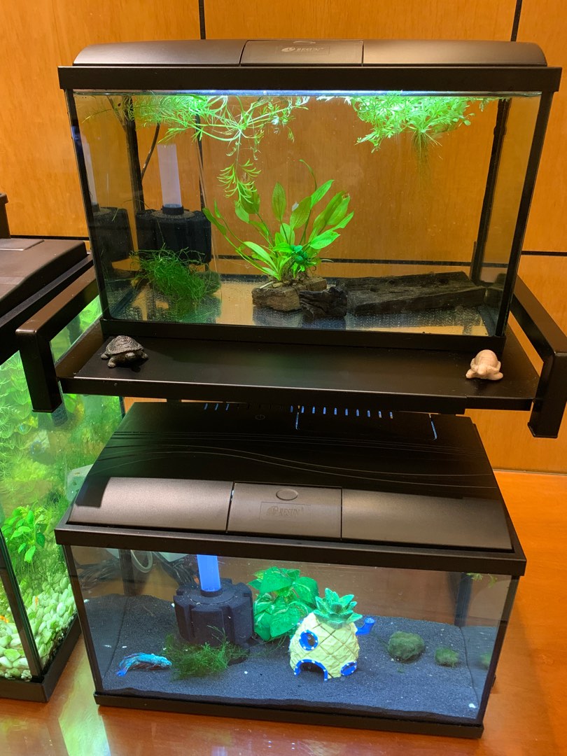 2x 18L fish tanks (set with stand), Pet Supplies, Homes & Other Pet ...