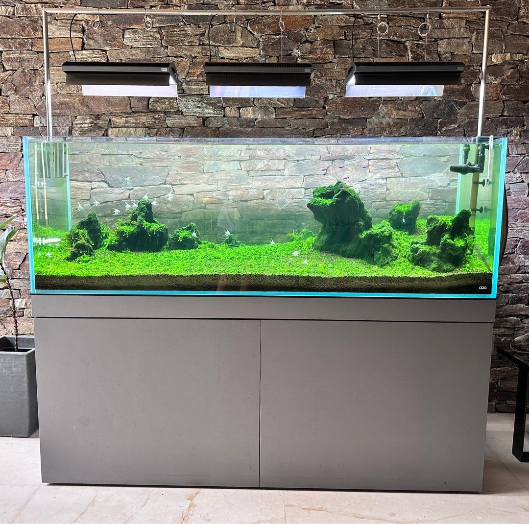 ADA 180P Full Setup, Pet Supplies, Homes & Other Pet Accessories on ...
