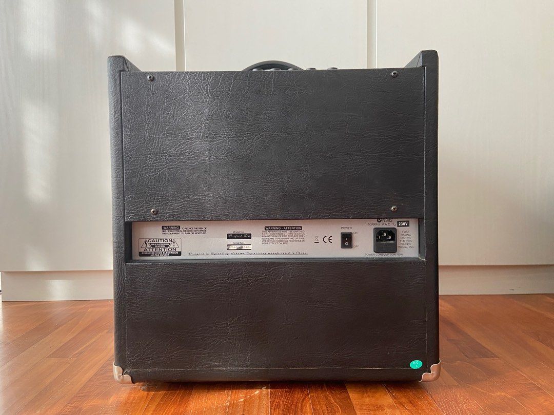 Ashdown Engineering Perfect 10 30W, Hobbies & Toys, Music & Media ...