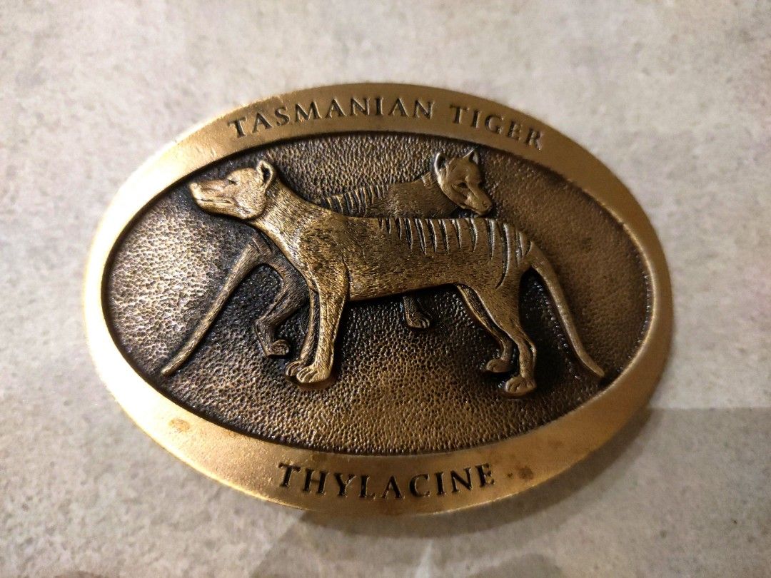#Blessings: Tasmanian Tiger belt buckle, Men's Fashion, Watches ...