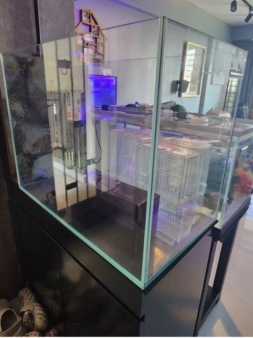 2.5ft fish tank crystal clear tank with cabinet, Pet Supplies, Homes ...