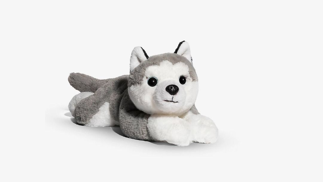 FAO PLUSH Lying Husky soft toy 38cm, Hobbies & Toys, Toys & Games on ...