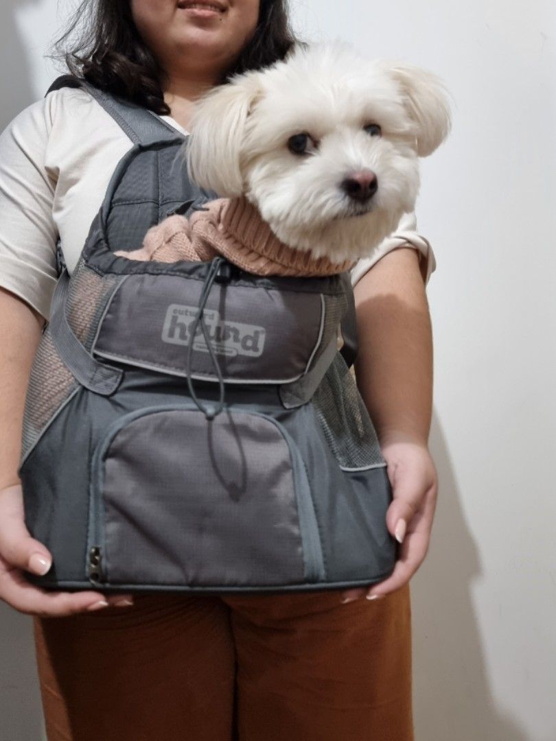 Gray Pet Dog Backpack Outward Hound on Carousell