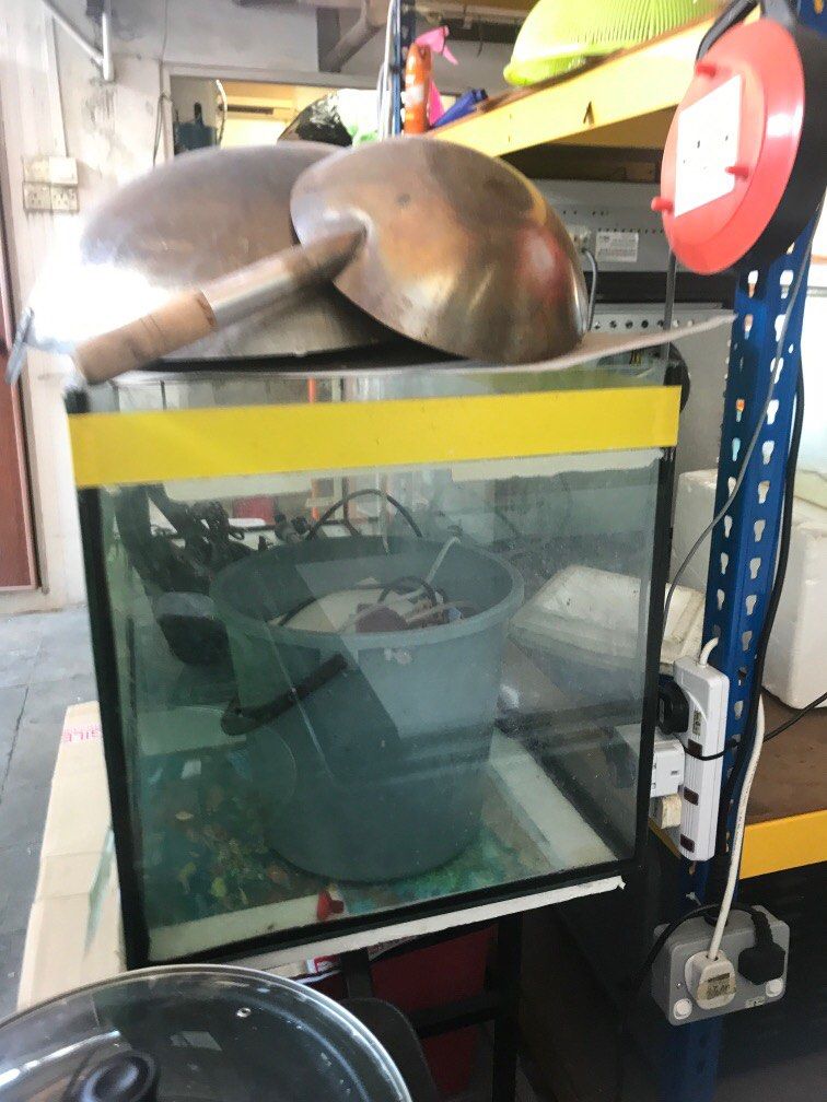 Large 220L Aquarium (JB), Pet Supplies, Homes & Other Pet Accessories ...