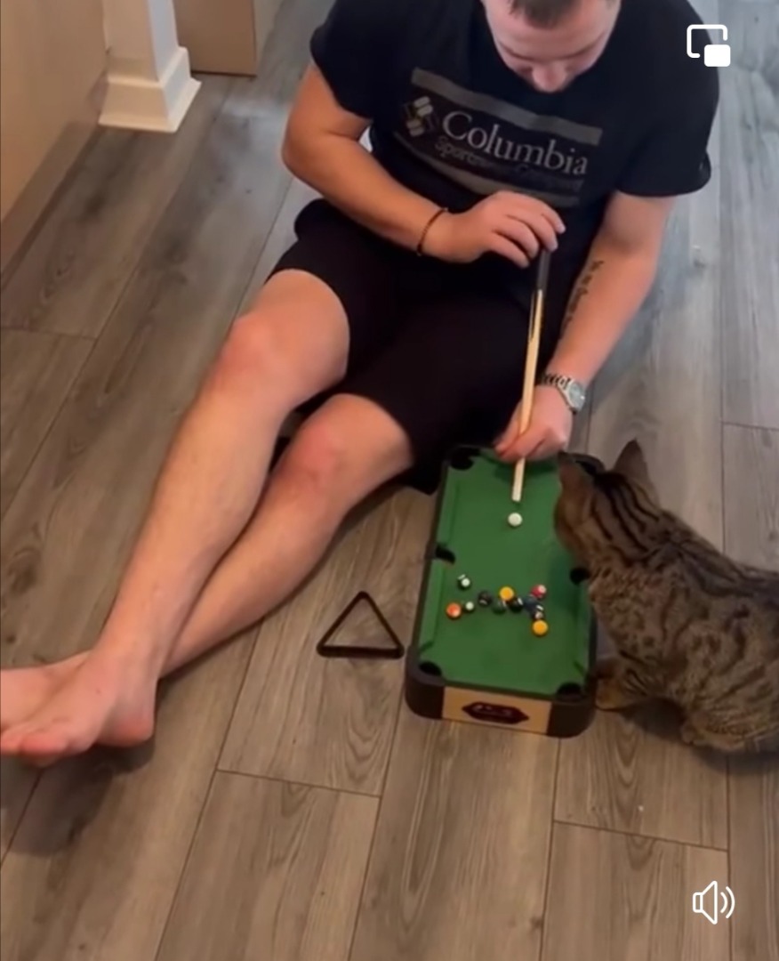 Miniatures - Mini 8 Ball (Billiards / Pool / Snooker / Carom) table ...