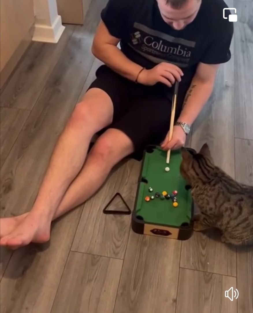 Miniatures - Mini 8 Ball (Billiards / Pool / Snooker / Carom) table ...