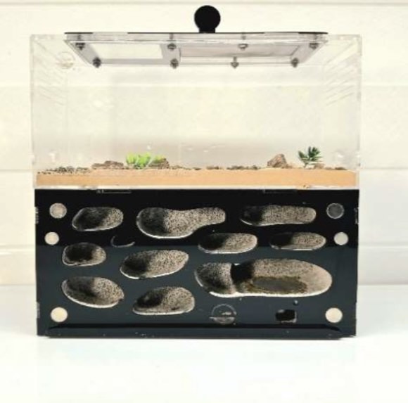 Premium ytong nest formicarium, Pet Supplies, Homes & Other Pet ...