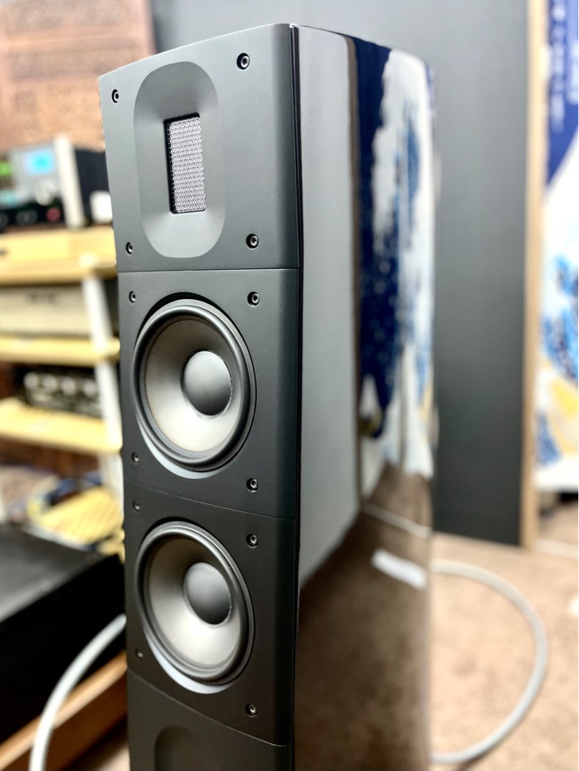 Raidho D2.1 speaker, Audio, Other Audio Equipment on Carousell