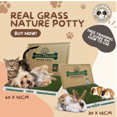 REAL GRASS NATURE POTTY ★ Pet Potty Grass ★ SG Stock ★ Kopi Lobang The ...